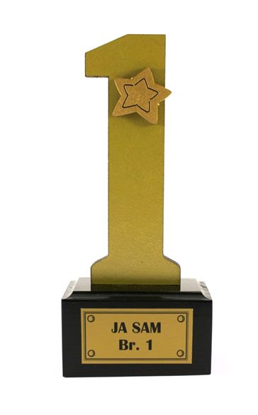 Nagrada Ja sam br.1 | CMOK